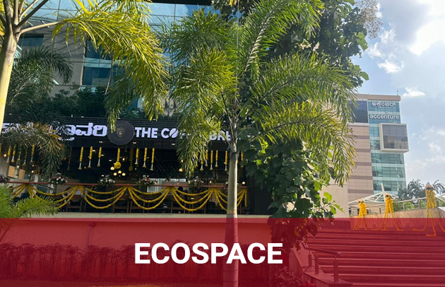 The Coffee Brewery - Your Gold Standard in Coffee Franchise